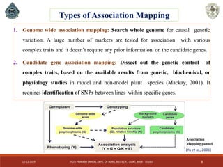 Status and prospects of association mapping in crop plants | PPT