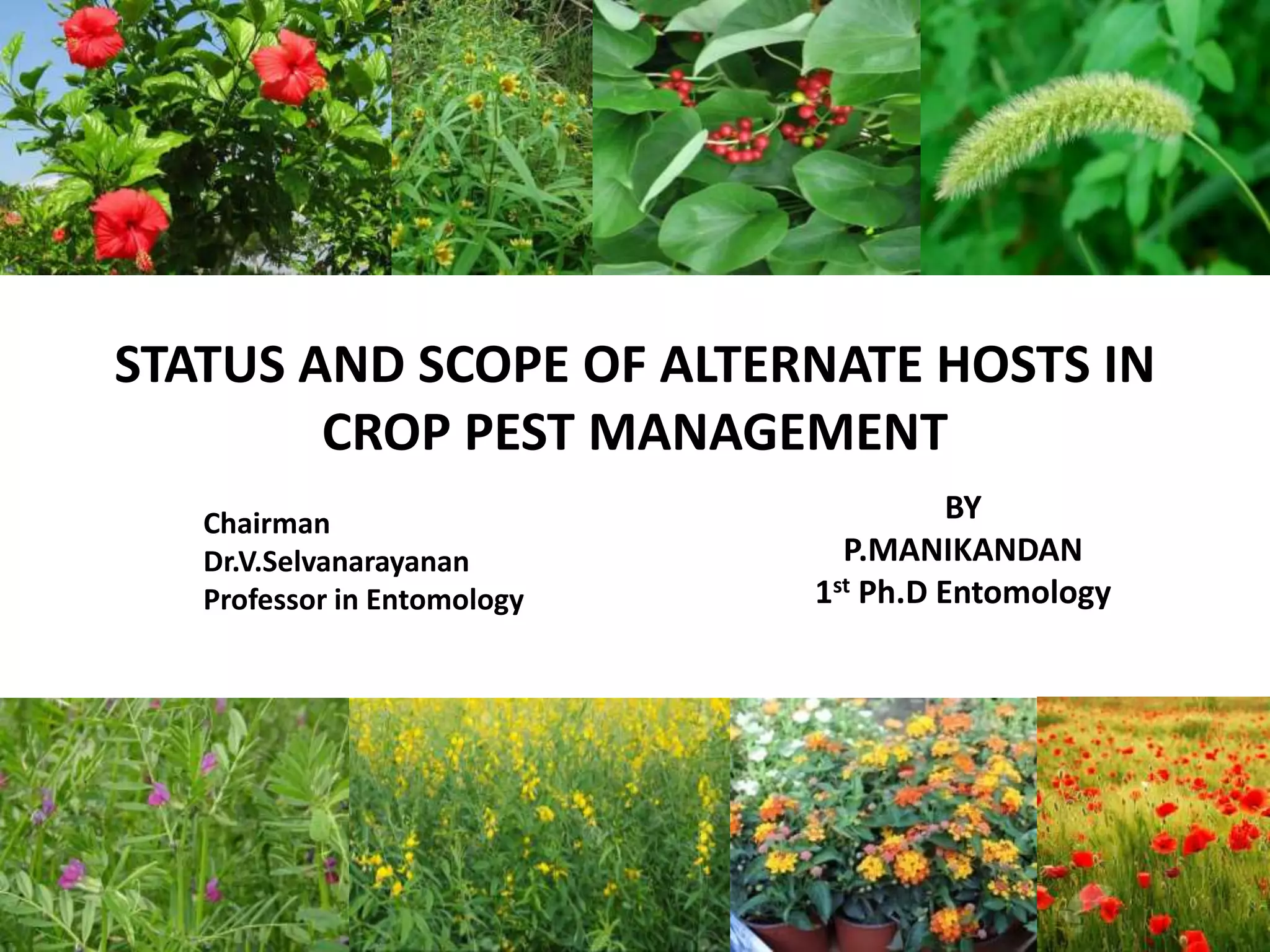 Status and scope of alternate hosts in crop pest management | PPTX