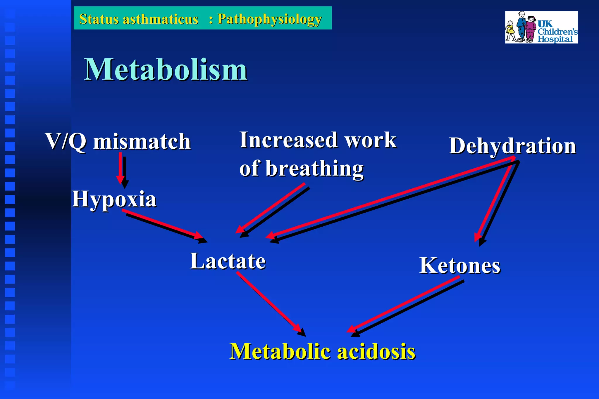 Status Asthmaticus In Children | PPT