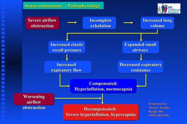 Status Asthmaticus In Children | PPT