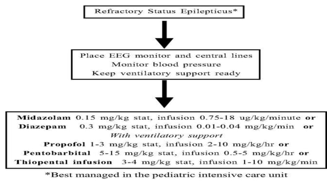 Status epilepticus | PPT
