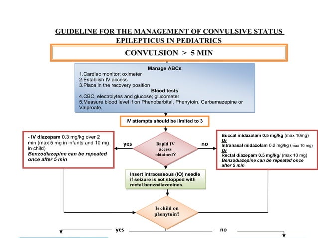 Status epilepticus IN CHILDREN | PPTX