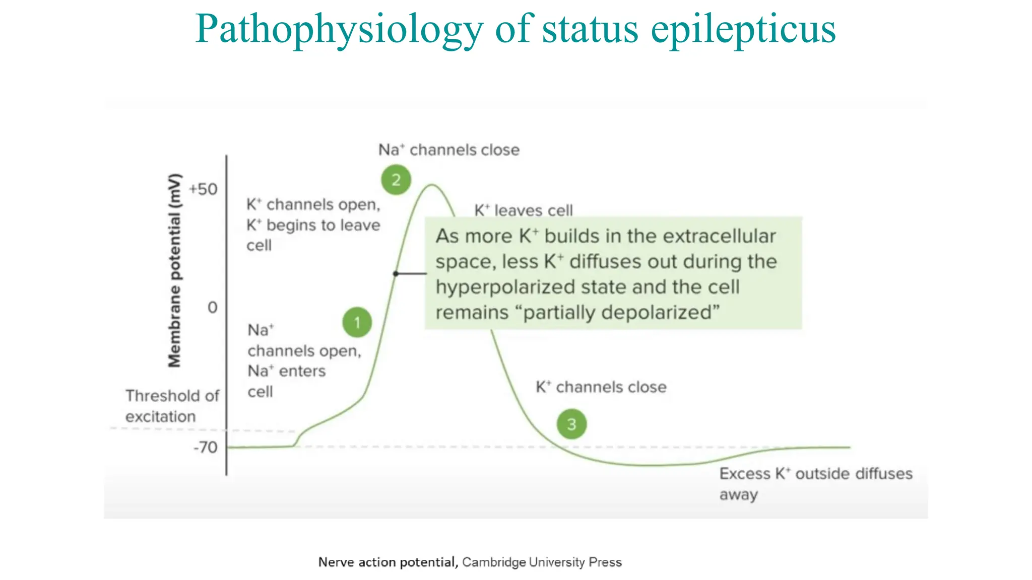 Status epilepticus-Definition and Pathophysiology | PPTX