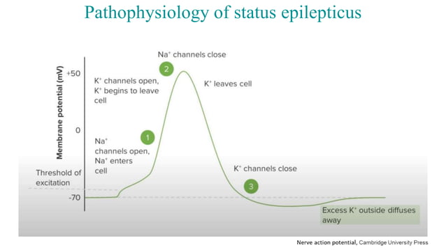 Status epilepticus-Definition and Pathophysiology | PPTX