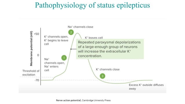 Status epilepticus-Definition and Pathophysiology | PPTX Status epilepticus-Definition and Pathophysiology | PPTX