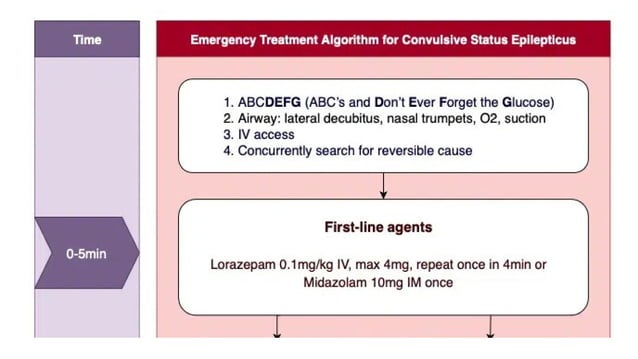 Status Epilepticus MBBS Practical , Treatment.pptx