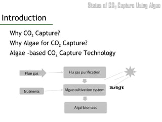 Status Of CO2 Capture Using Algae | PPT