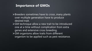 Status of GMOs crops in pakistan | PPTX