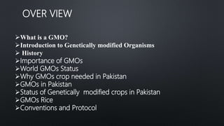 Status of GMOs crops in pakistan | PPTX