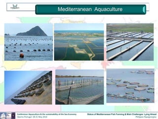 Status of Mediterranean fish farming; Main challenges lying ahead | PDF