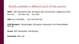 Status of pig breeding policies and practices in India | PPTX