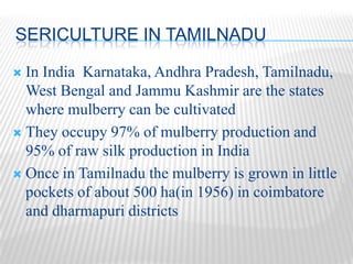 Status of sericulture in india and tamilnadu | PPTX