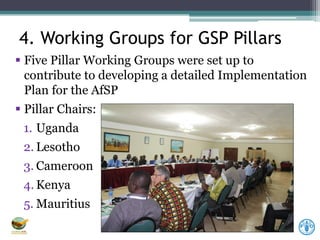 African Soil Partnership | PDF