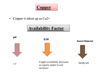 Status of Trace Elements In Pakistani Soil | PPT