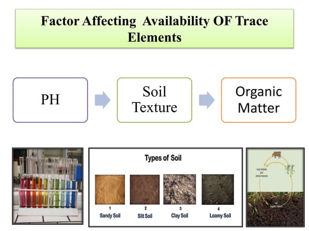 Status of Trace Elements In Pakistani Soil | PPT