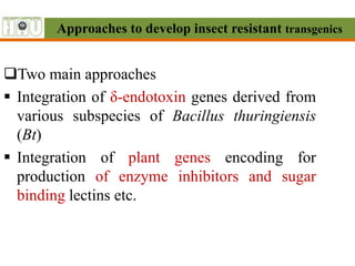 Status of Transgenics in Pest Management: Global and Indian Scenario | PPT