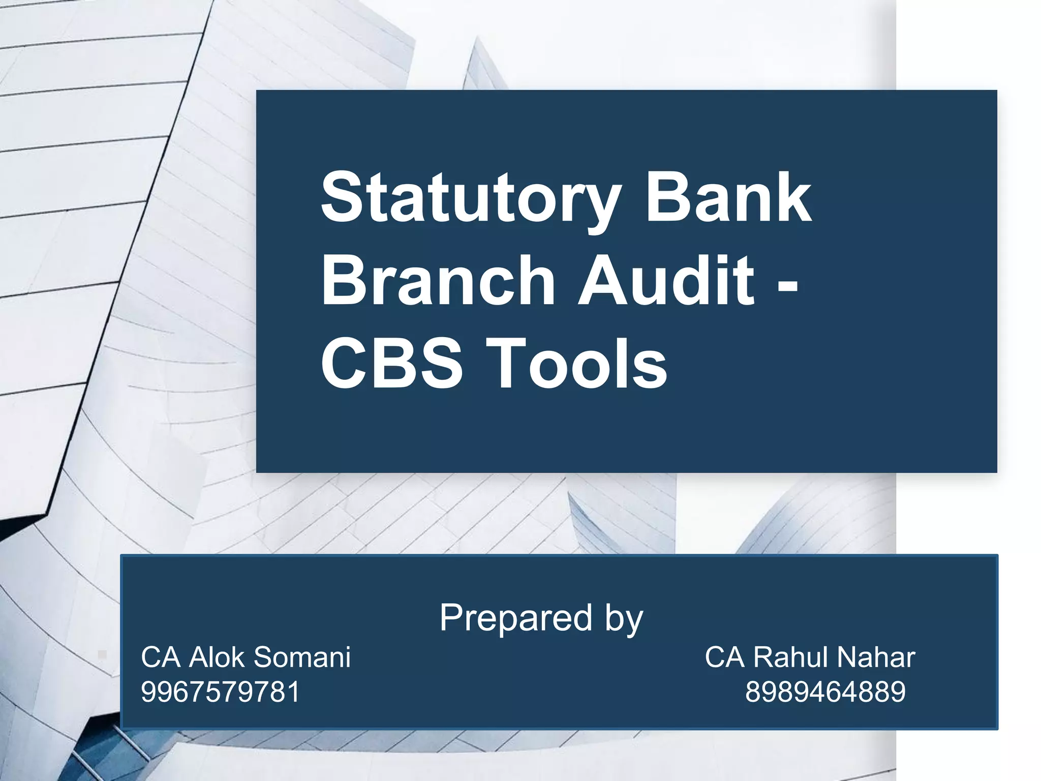 Basics of Bank Audit in CBS environment- | PDF