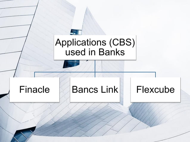 Basics of Bank Audit in CBS environment- | PDF