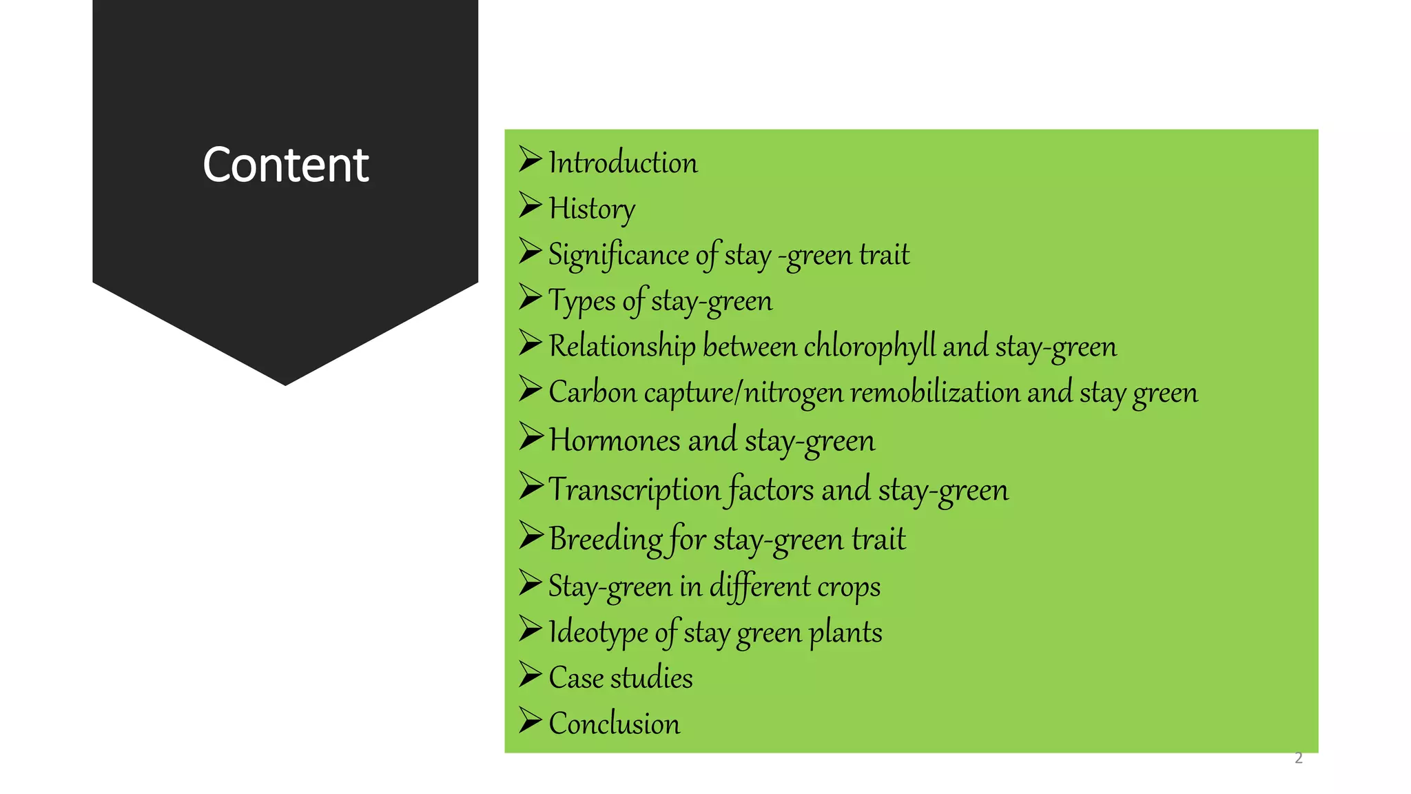 Stay green trait in crops ss | PPTX