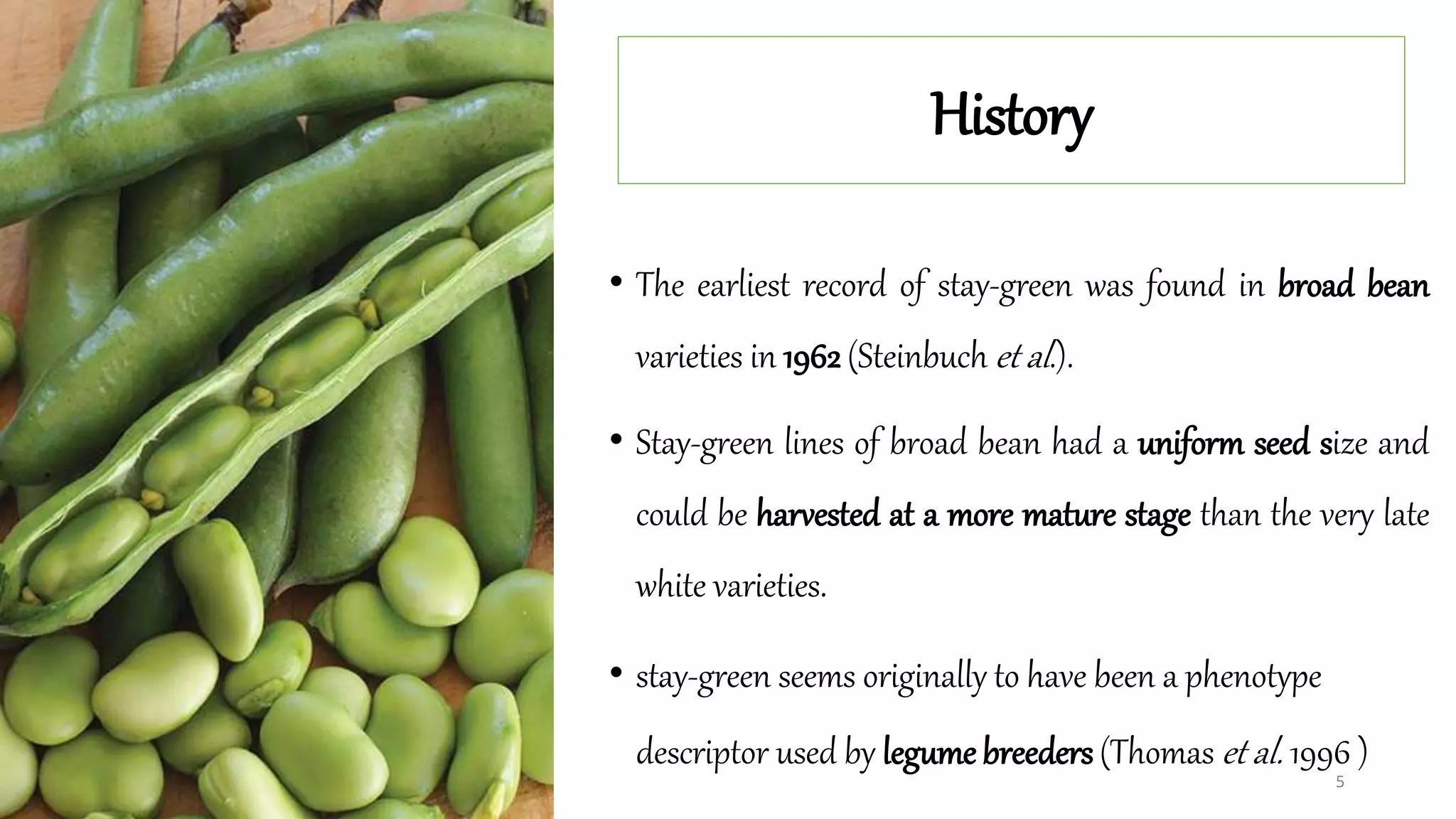 Stay green trait in crops ss | PPTX