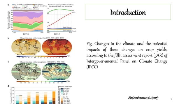 Stay green trait in crops ss | PPTX | Genetics | Science