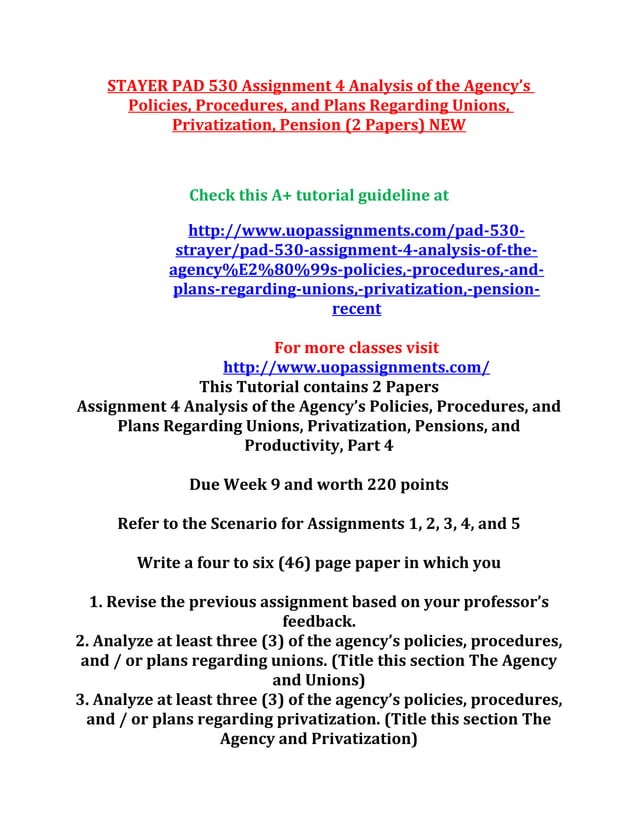 Stayer pad 530 assignment 4 analysis of the agency | PDF
