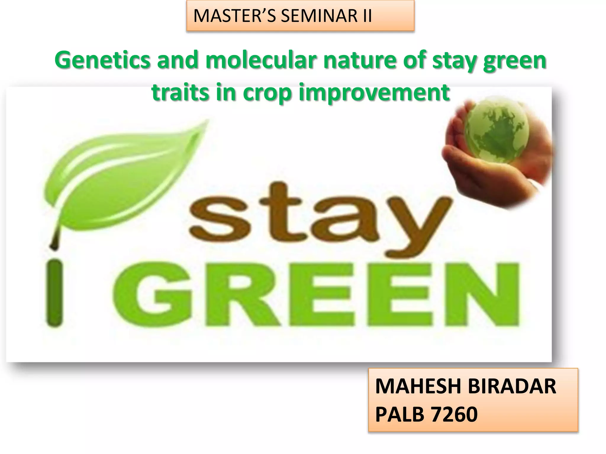 STAY GREEN | PPT