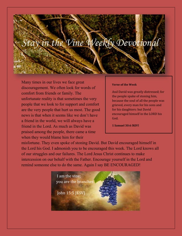Stay in the vine weekly devotional | PDF