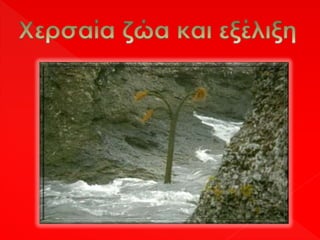 κινηση στηριξη Sta zwa | PDF