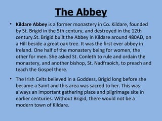 St Brigid's Kildare | PPT
