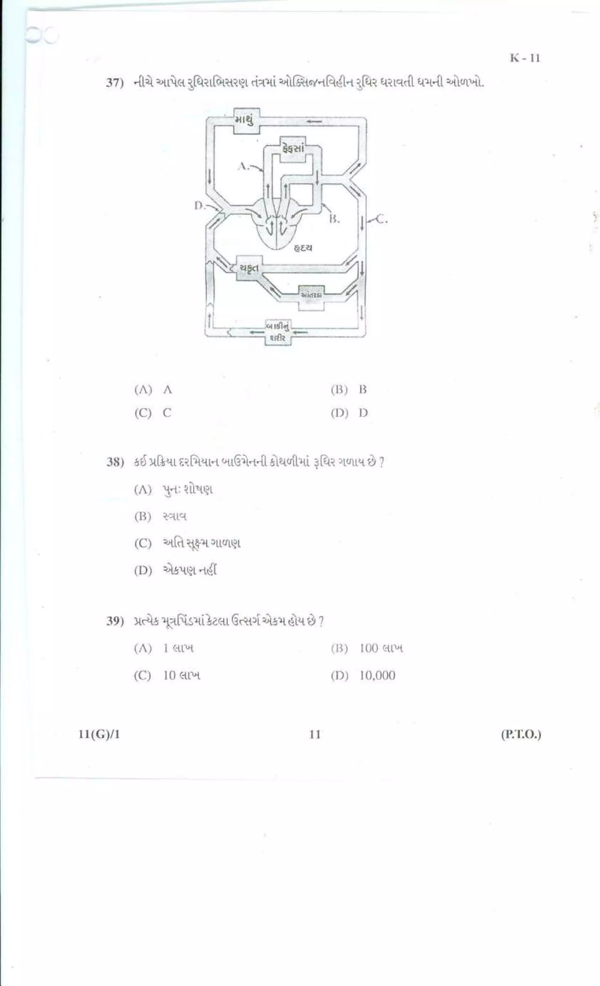 Standard 10th Science Important Question Paper | PDF