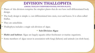 Std 11 biology chapter 03 plant kingdom | PPTX