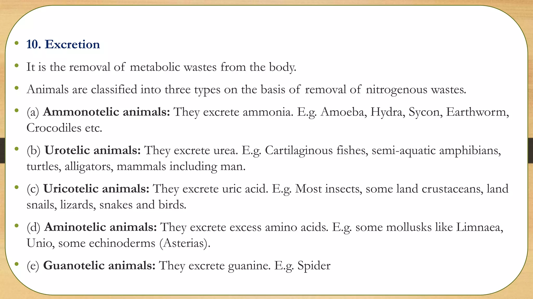 Std 11 biology chapter 04 animal kingdom | PPTX