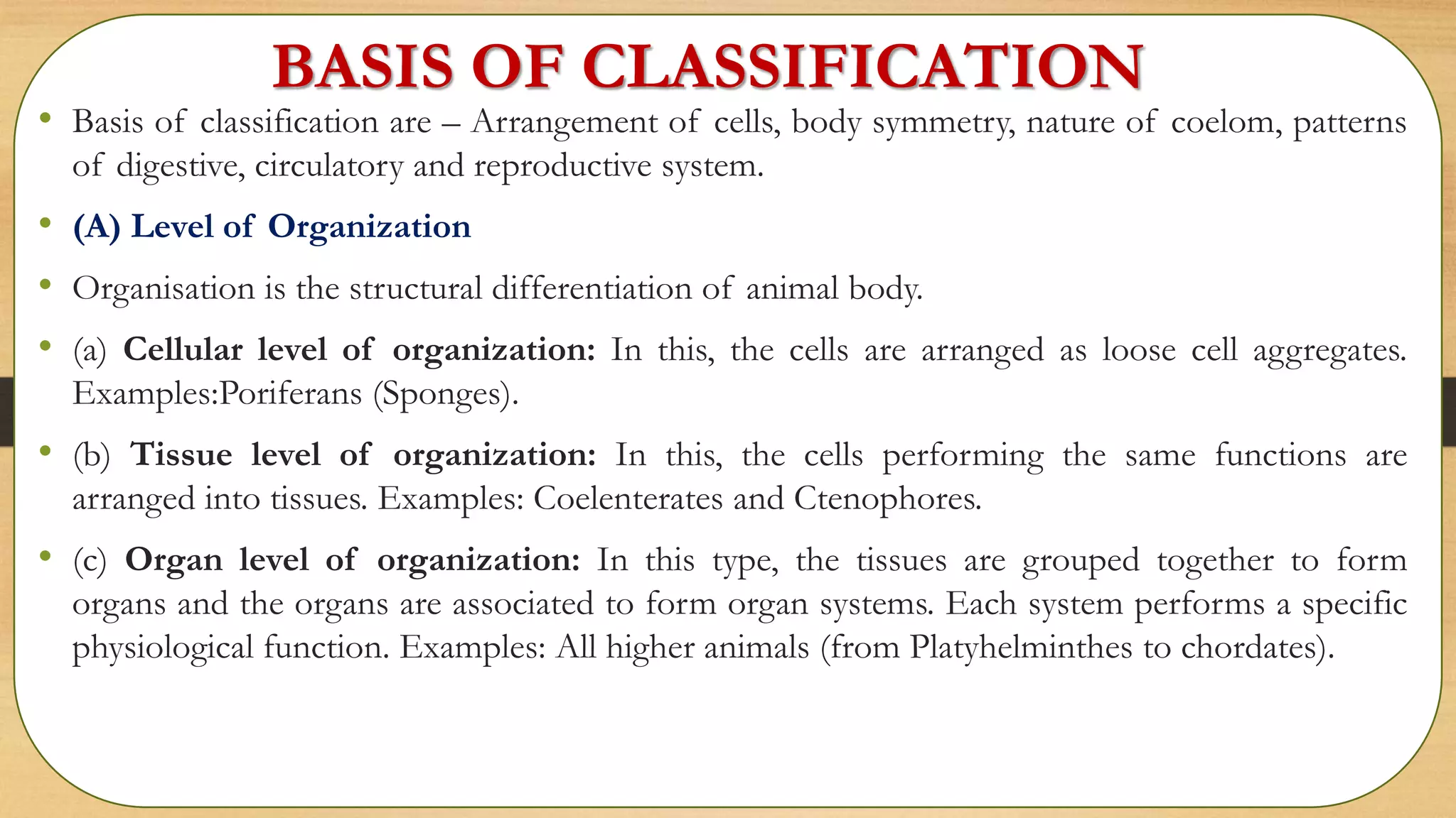 Std 11 biology chapter 04 animal kingdom | PPTX