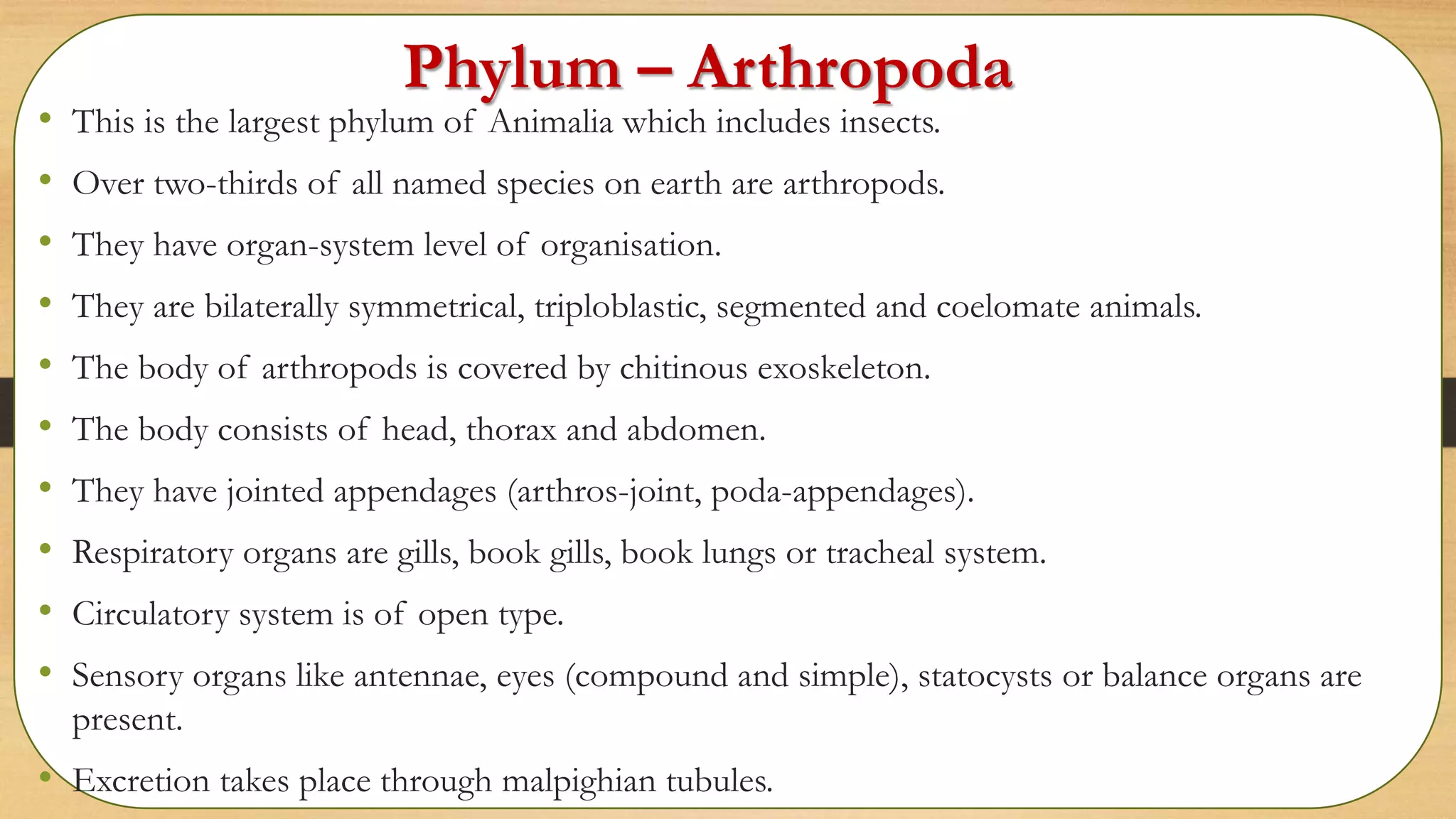 Std 11 biology chapter 04 animal kingdom | PPTX