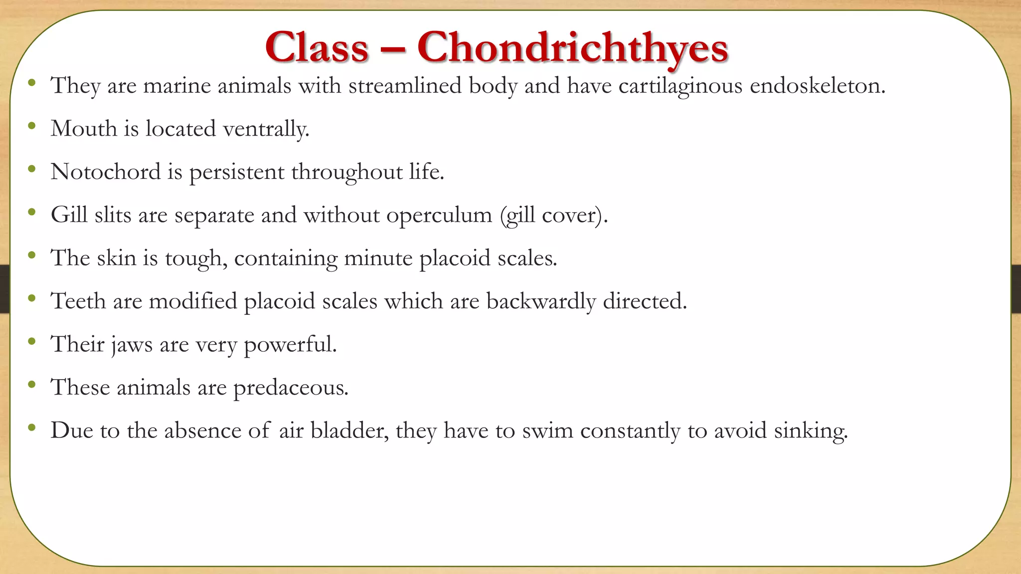 Std 11 biology chapter 04 animal kingdom | PPTX