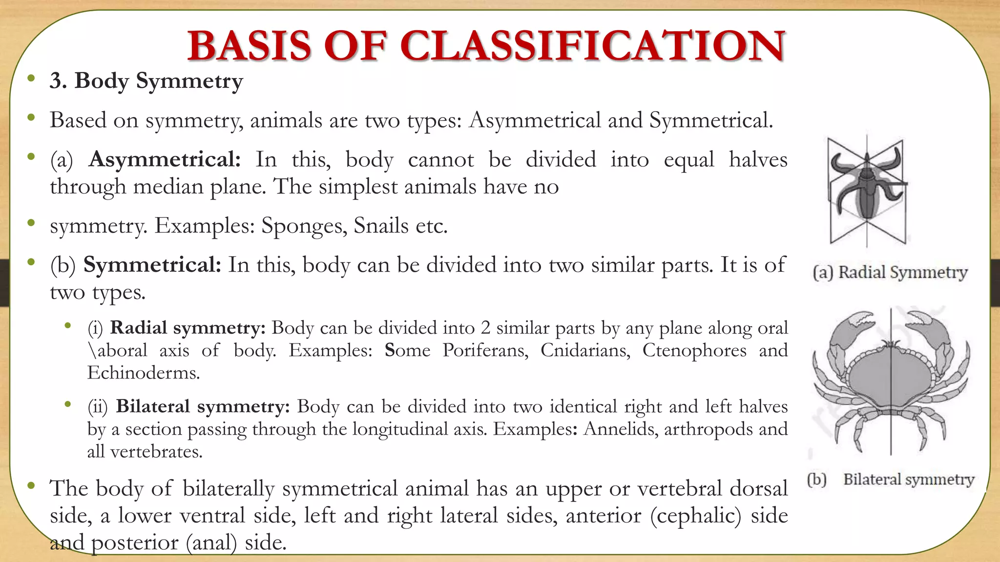 Std 11 biology chapter 04 animal kingdom | PPTX