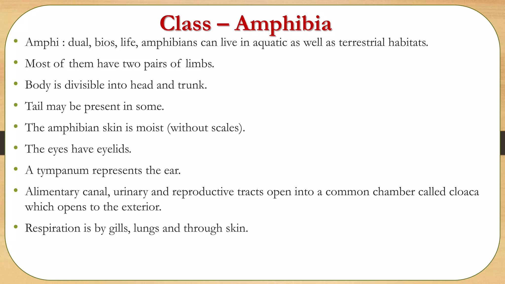 Std 11 biology chapter 04 animal kingdom | PPTX