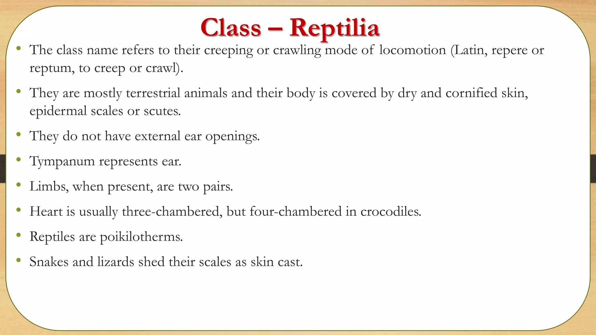 Std 11 biology chapter 04 animal kingdom | PPTX