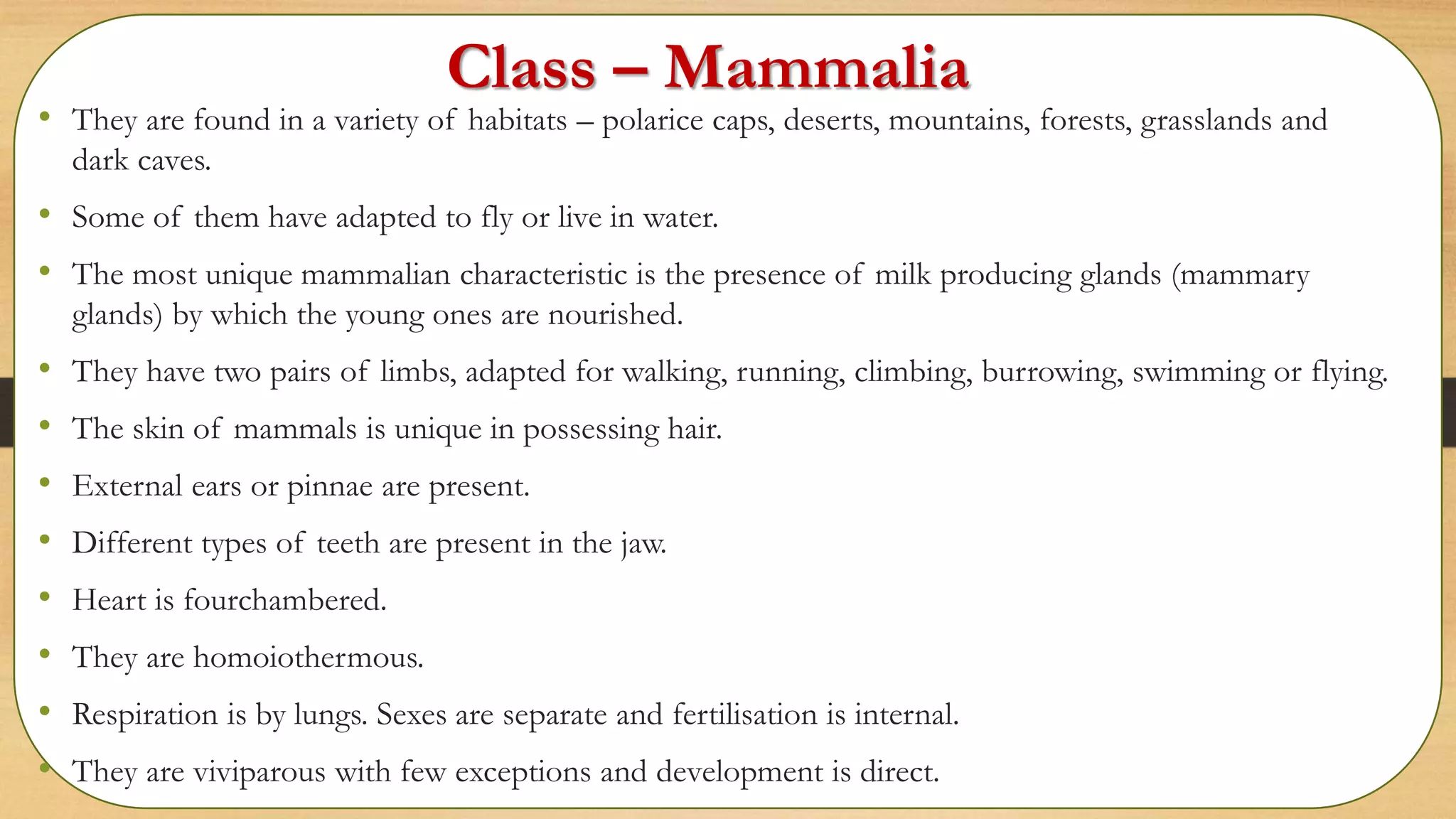 Std 11 biology chapter 04 animal kingdom | PPTX