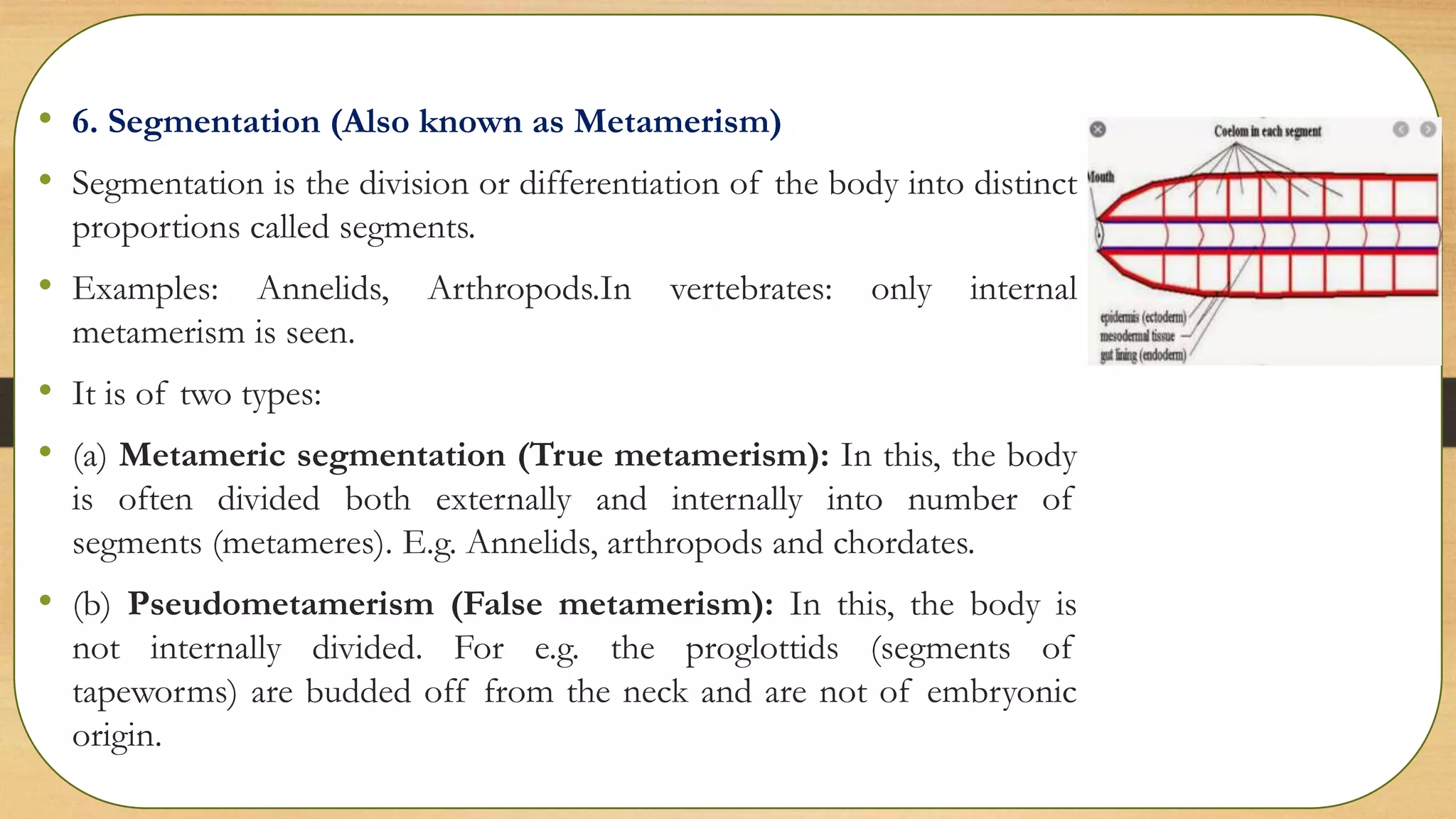 Std 11 biology chapter 04 animal kingdom | PPTX
