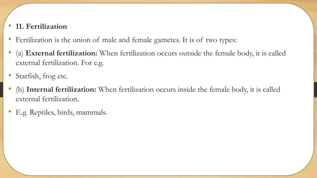 Std 11 biology chapter 04 animal kingdom | PPTX | Geography | Science