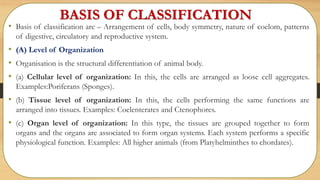 Std 11 biology chapter 04 animal kingdom | PPTX