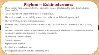 Std 11 biology chapter 04 animal kingdom | PPTX