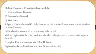 Std 11 biology chapter 04 animal kingdom | PPTX