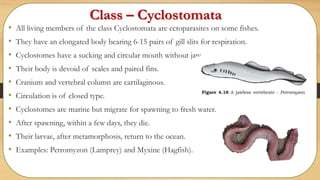 Std 11 biology chapter 04 animal kingdom | PPTX