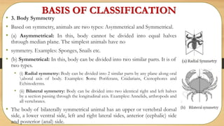 Std 11 biology chapter 04 animal kingdom | PPTX