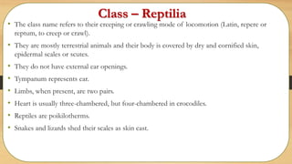 Std 11 biology chapter 04 animal kingdom | PPTX