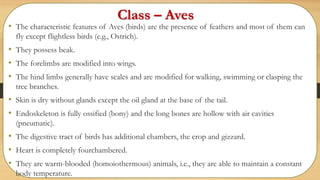 Std 11 biology chapter 04 animal kingdom | PPTX