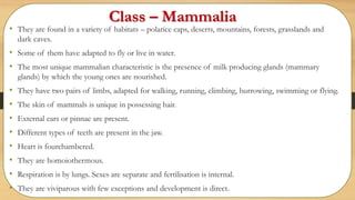 Std 11 biology chapter 04 animal kingdom | PPTX